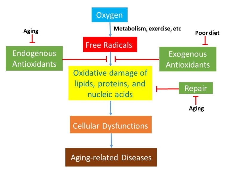 Health Benefits of Antioxidants
